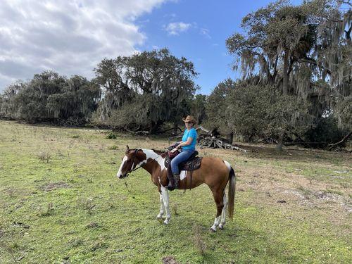 Kavallerie Gel Half Pad | Prevent Saddle Bridging or Sore Back