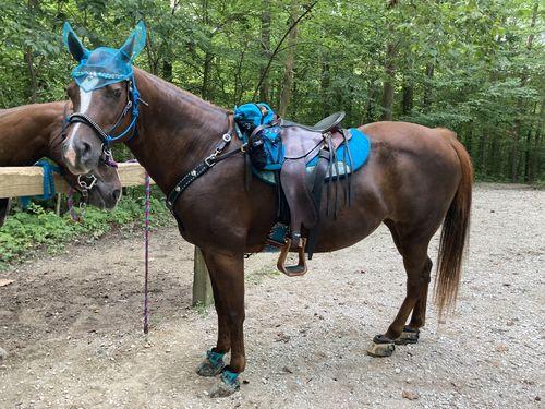 Kavallerie Gel Half Pad | Prevent Saddle Bridging or Sore Back