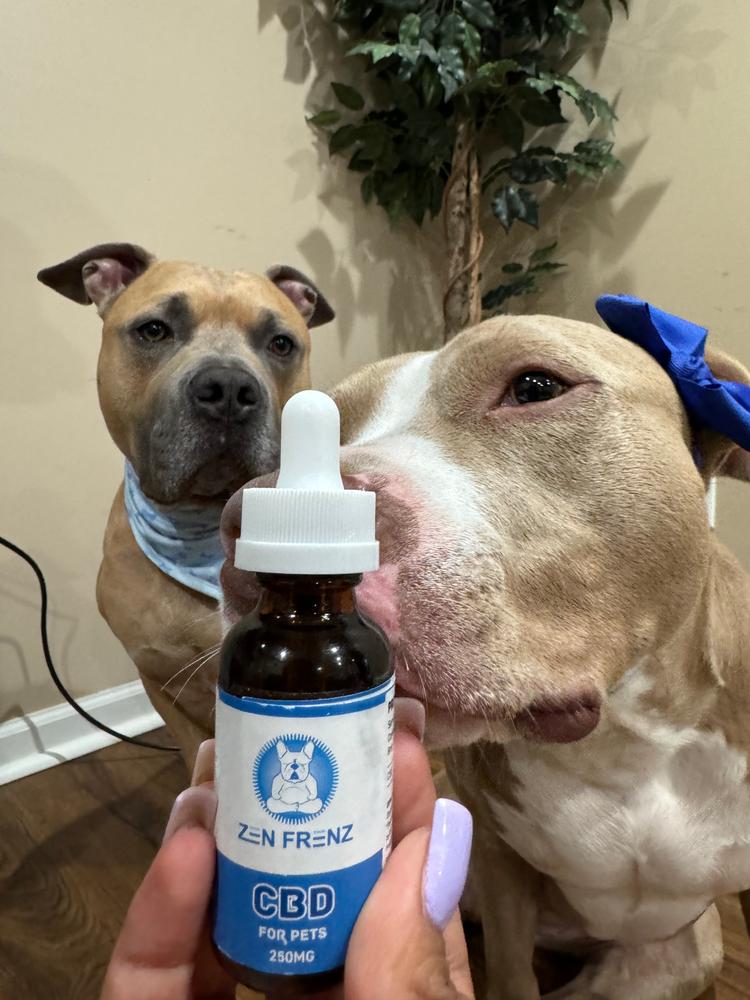 Zen Drops - CBD 250MG for Dogs & Cats – Zen Frenz