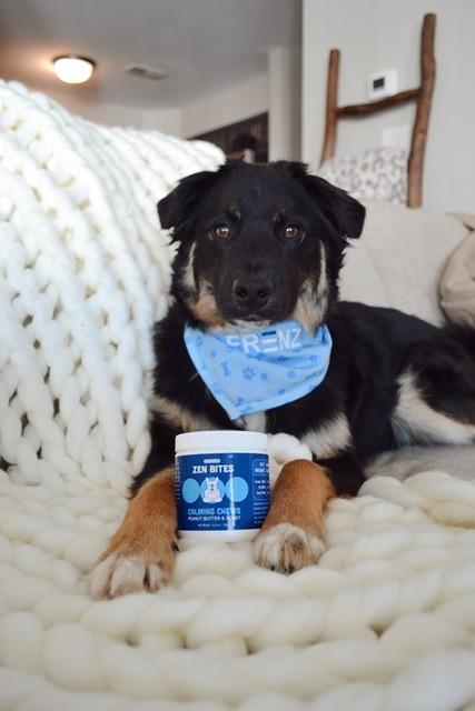 Zen Bites - All Natural Calming Chews for Pets – Zen Dogs and Cool Cats