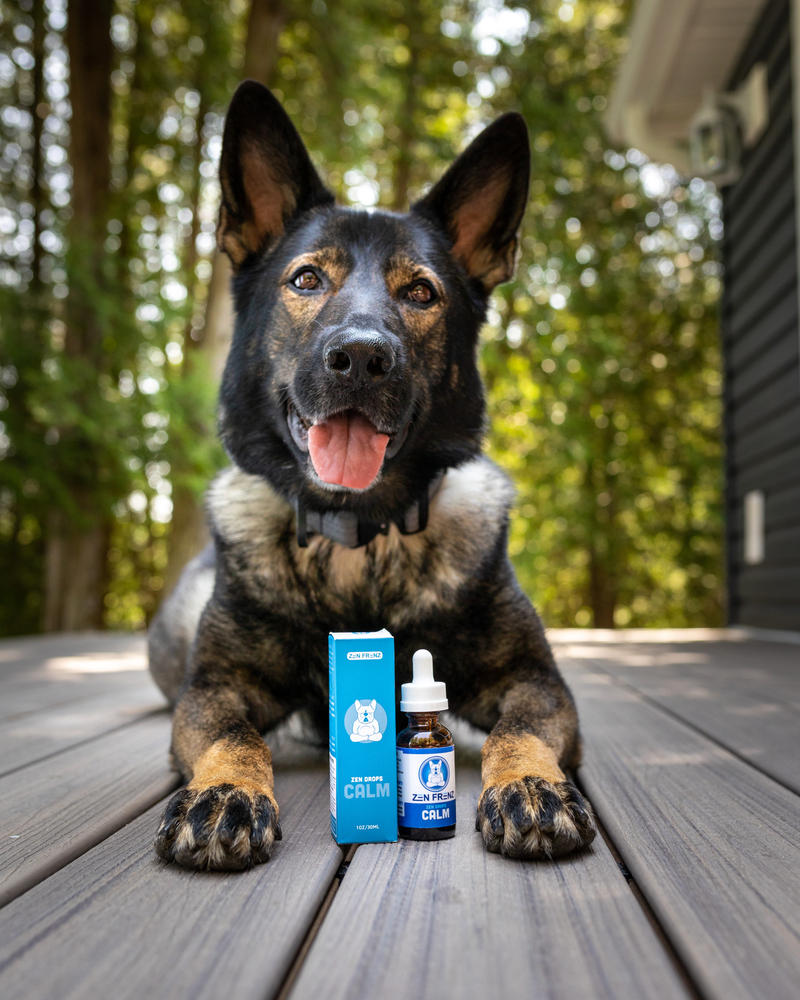 Zen Drops - CBD 500MG for Dogs & Cats – Zen Frenz