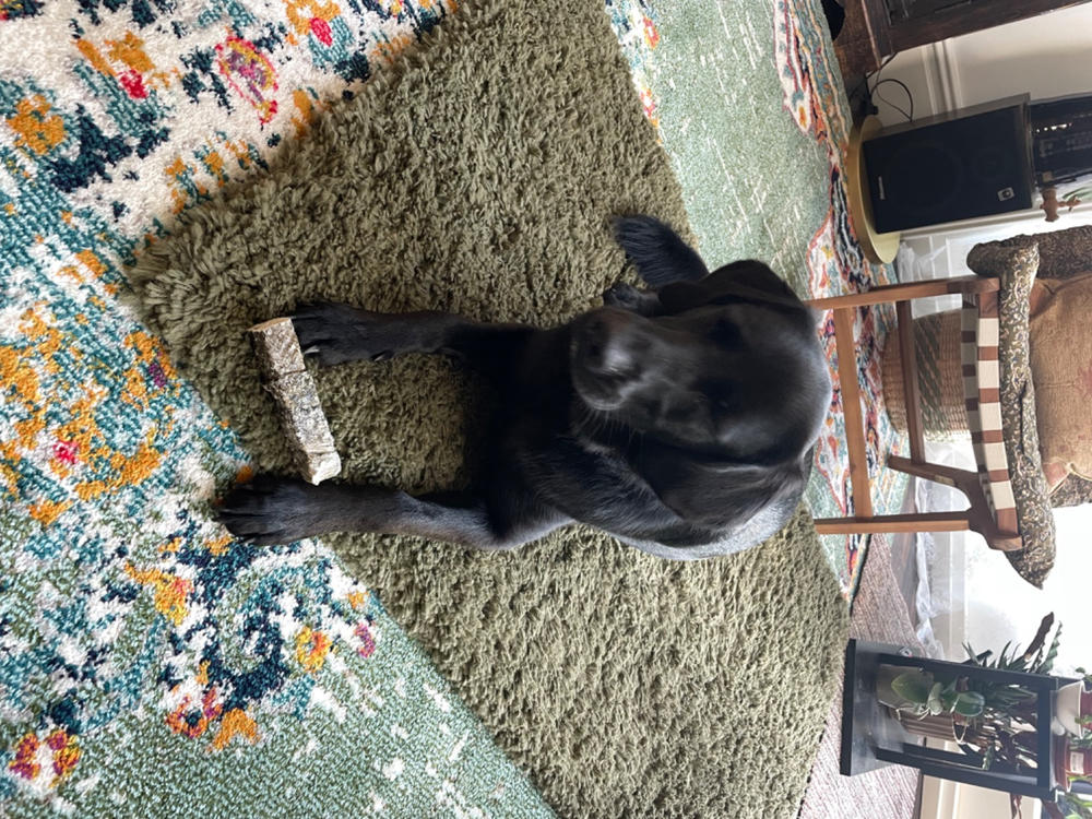 Fish Skin Throw Sticks