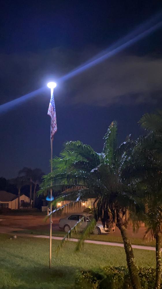 Magnum Solar Disk Flag Light | LED