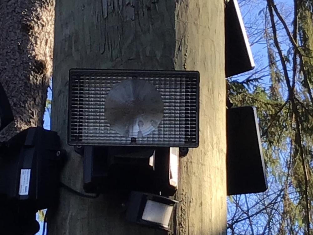 Watchdog Solar Powered Security Light | Outdoor Solar Store