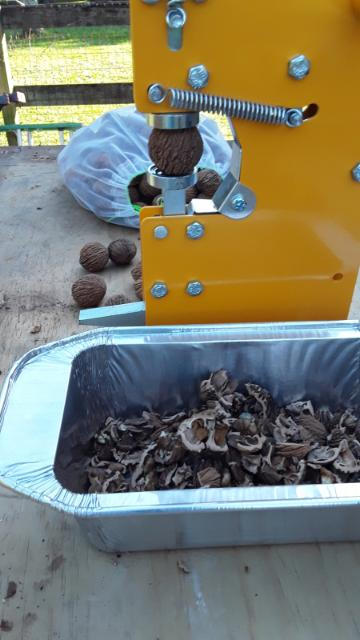 Black Walnut Nut Cracker - Proudly Built in Ozark Mountains | Grandpa's ...