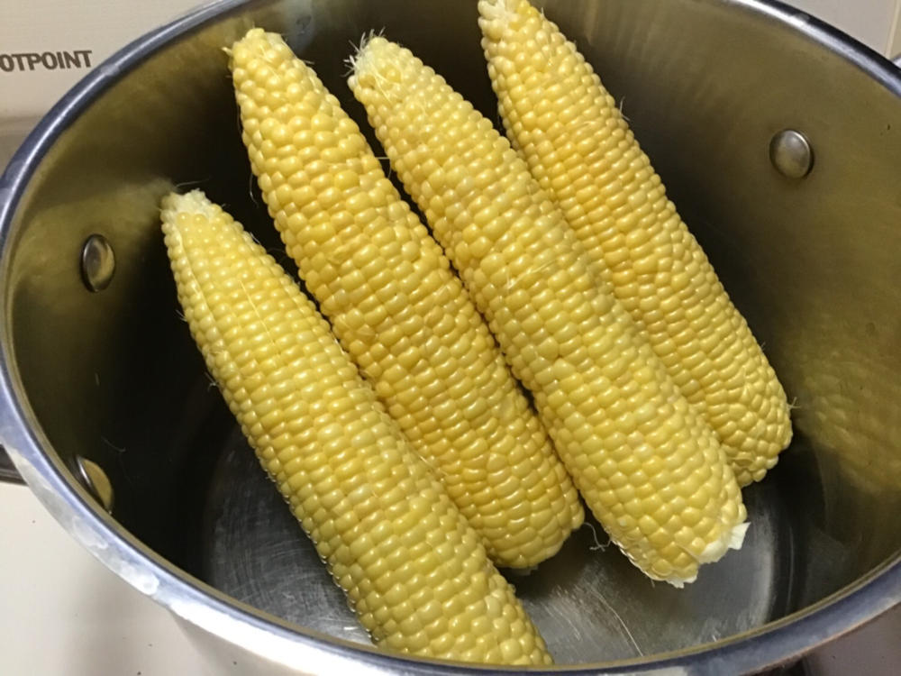 Honey Select Corn (F1 Hybrid 79 Days) SY