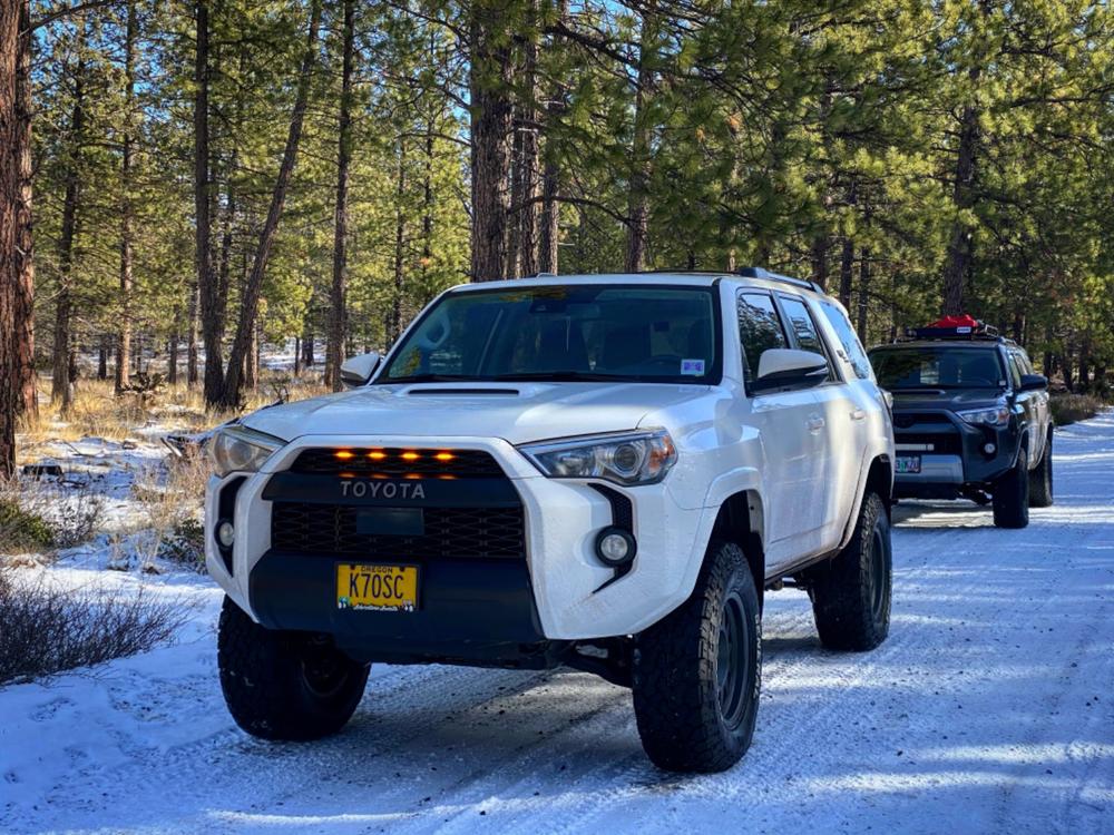 4Runner TRD Pro Grille (2014-2021) — Overland Depot