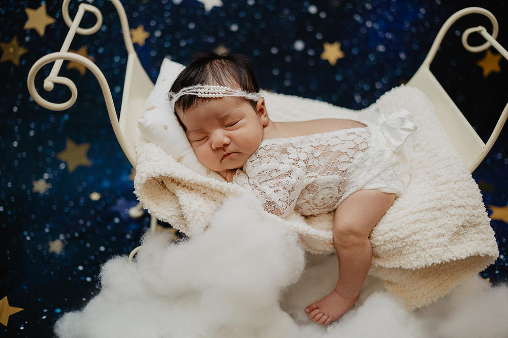 Curved Vintage Bench - Metallic - Newborn Studio Props