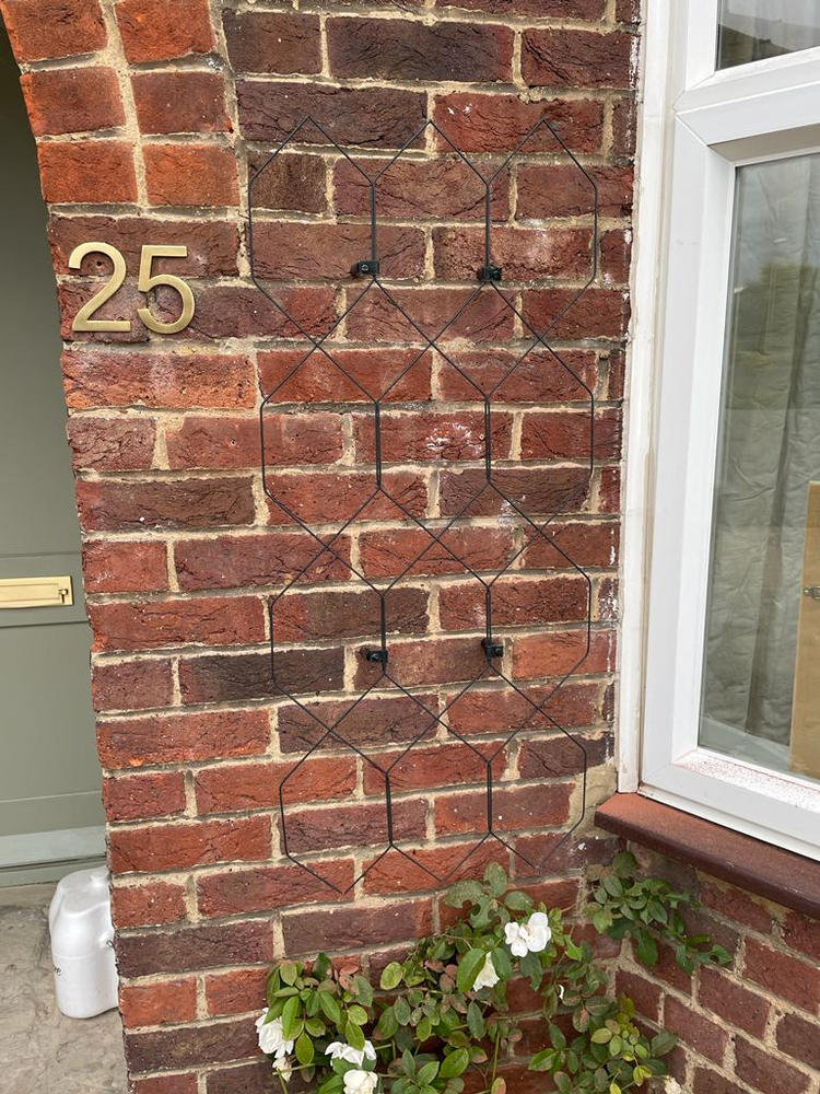 Wall Trellis | Garden Trellis | Agriframes