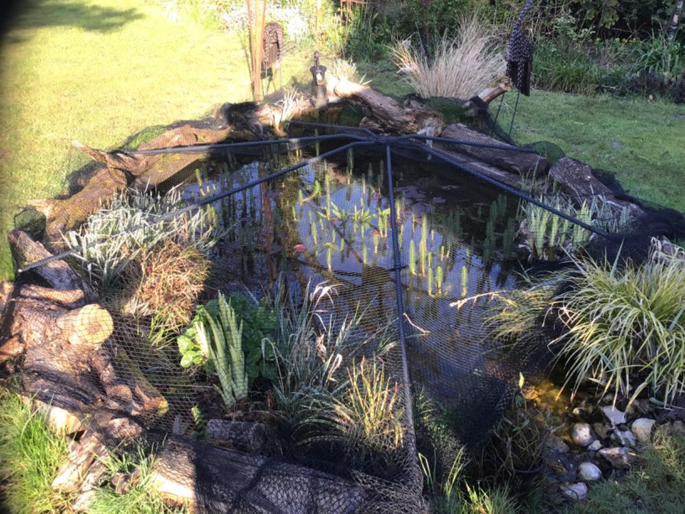 Universal Pond Cover | Garden Features | Agriframes