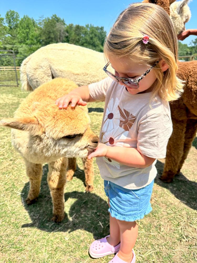 Farm Tours – Good Karma Ranch