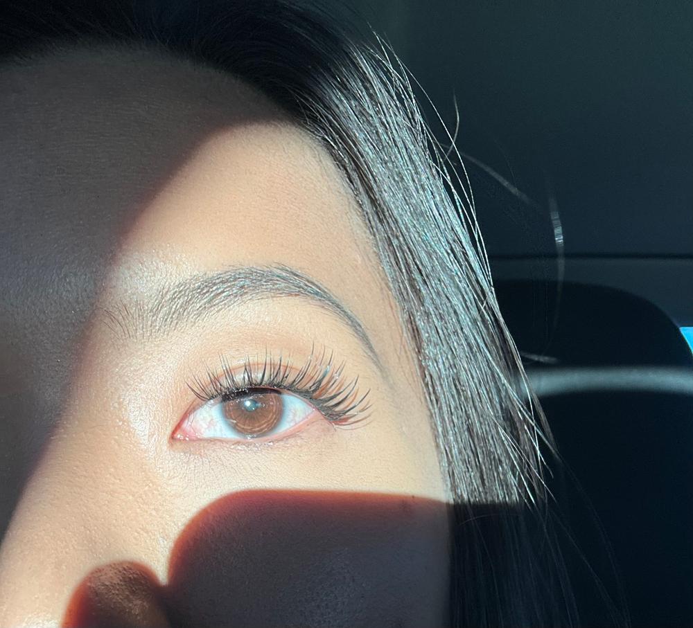 Feather | DIY Eyelash Extensions | Lilac St.