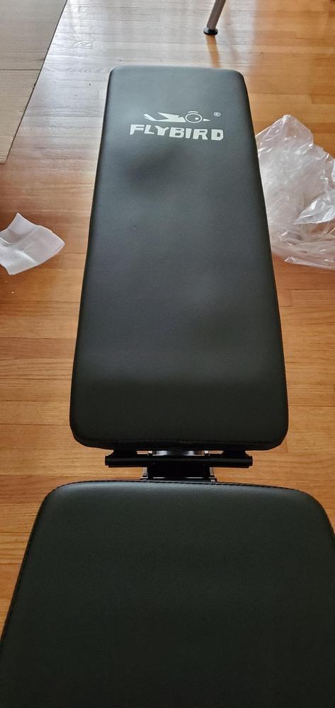 Flybird Adjustable Bench | FLYBIRD Weight Bench FB149 | Free Shipping