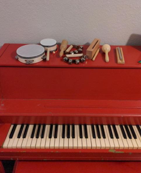 Montessori Wooden Music Instrument Set (10 Instruments) – Project ...