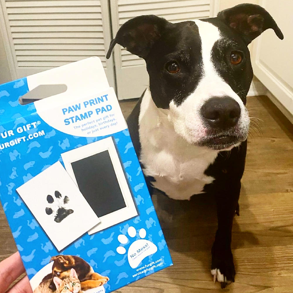 Paw Print Stamp Pads – Fur Gift