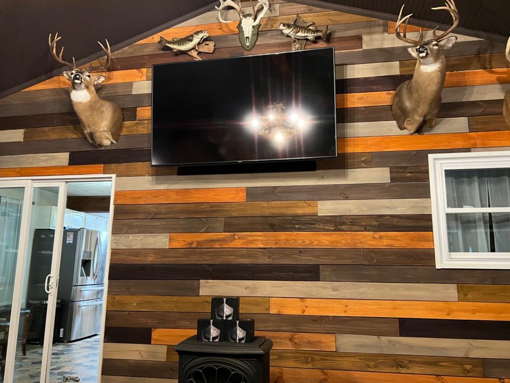 Spartan GoCam | Cellular Trail Camera – Spartan Camera