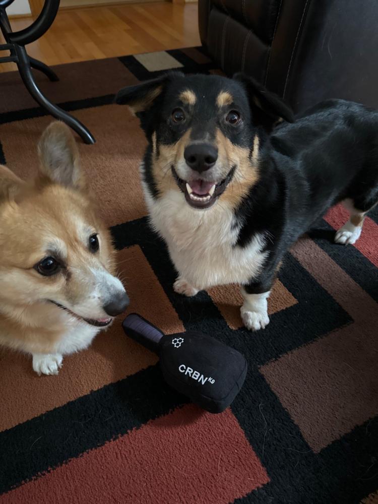 CRBN 3X Power Series - Hybrid Carbon Fiber Pickleball Paddle – CRBN ...