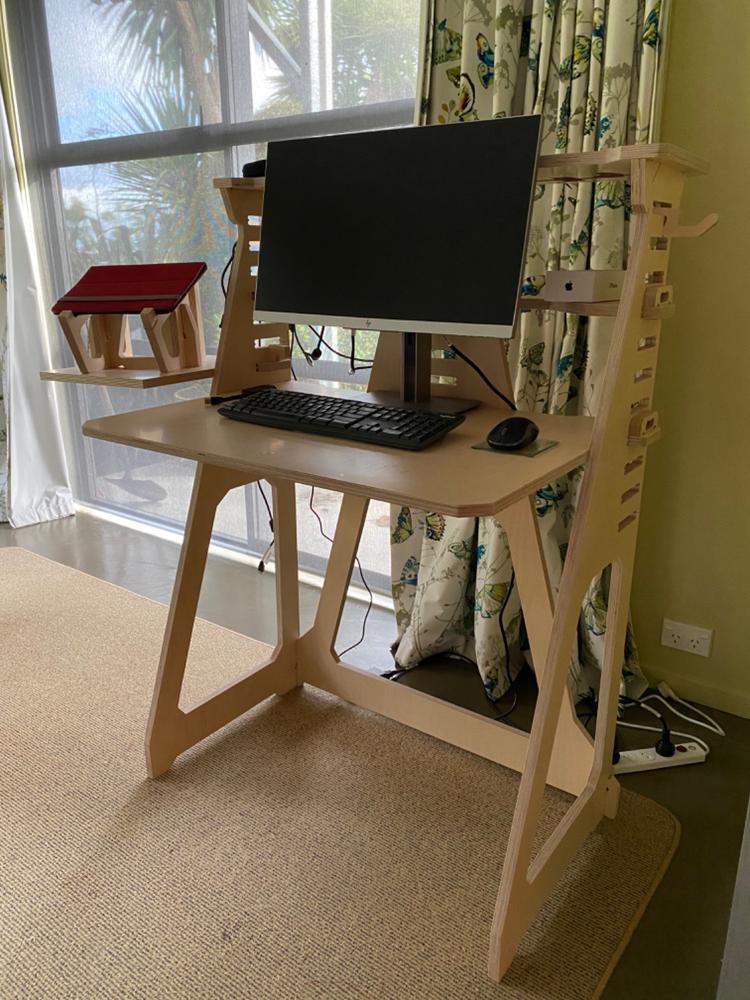 Standing Desk Essentials | Home Office Desk | Work From Home Desks ...