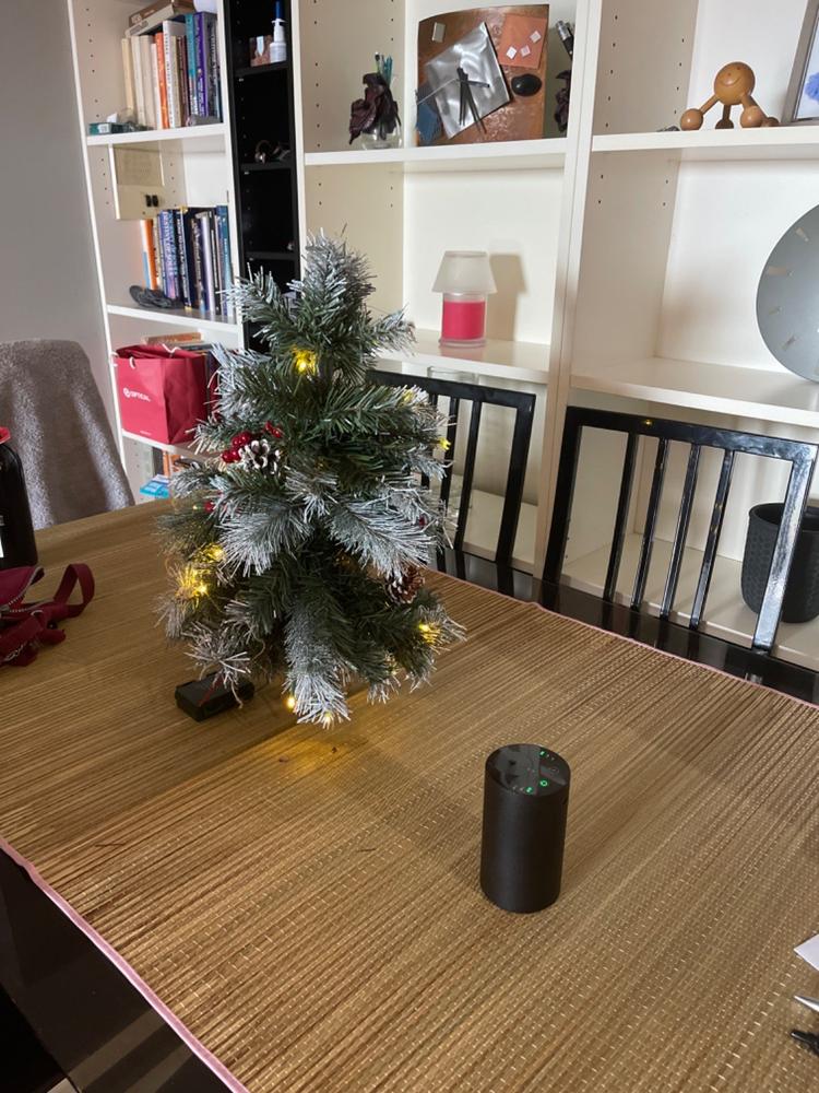 Scent Diffuser Mini Discovery Kit – Covers 500 sqft. – Scentiment