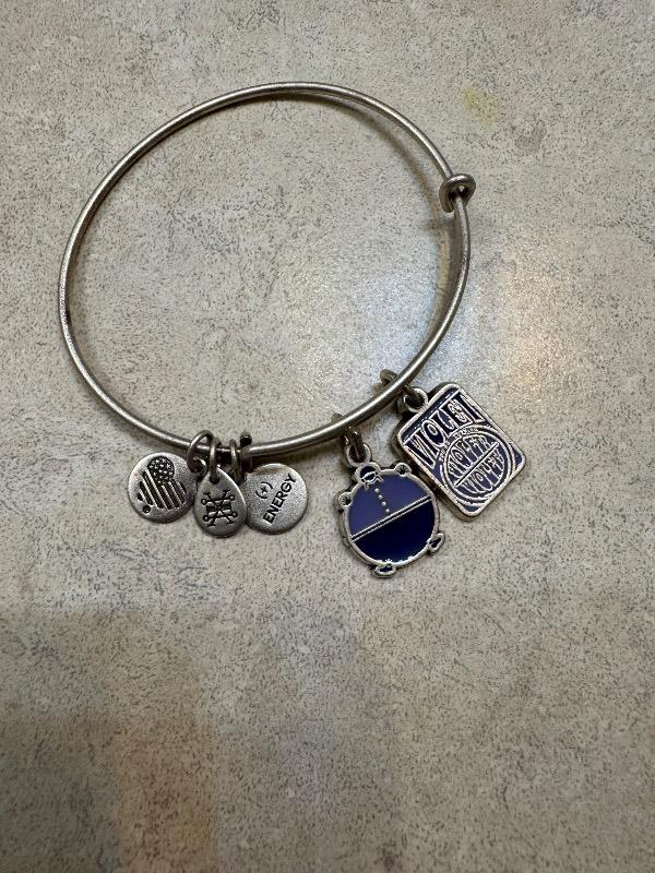 Alex and ani polar express bracelet store