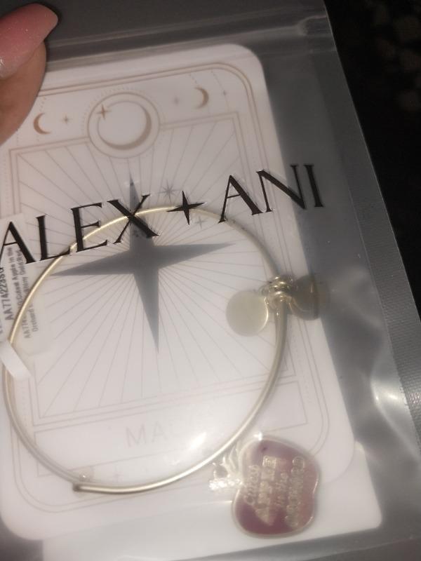 Alex and ani apple bracelet store