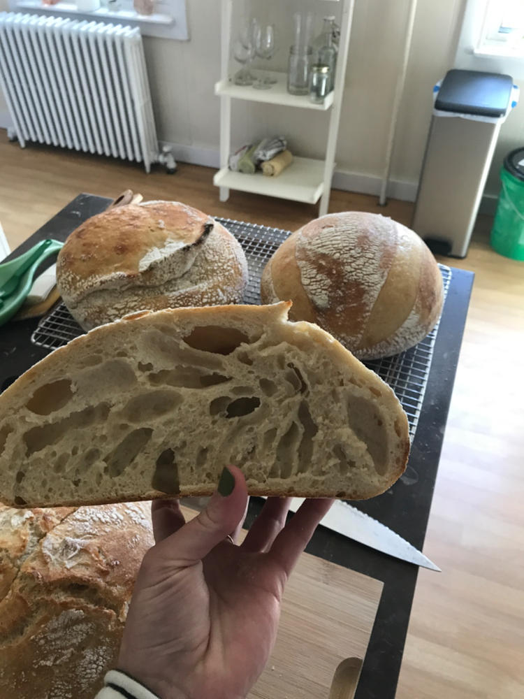The Heart of Sourdough Bread Baking - digital live workshop - May 31 ...