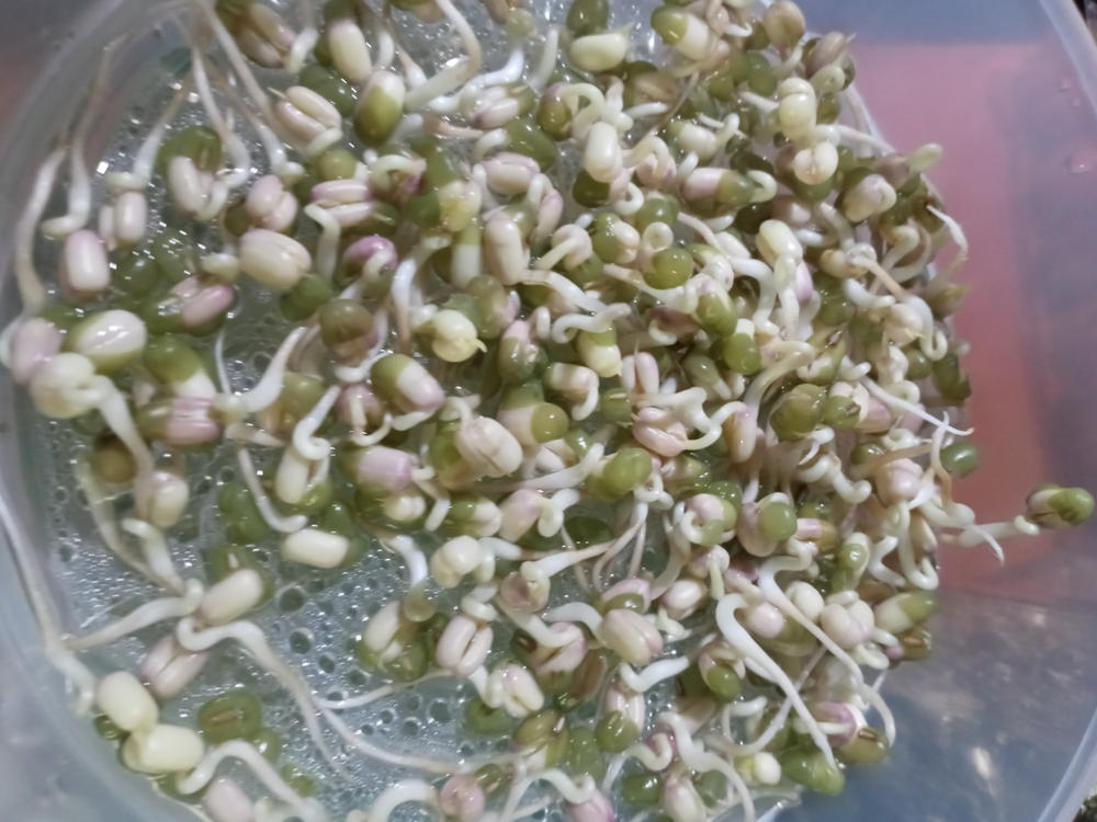 Deluxe Sprouting Starter Kit | 4 Tray Sprouter & 5 Packs of Seeds – My ...