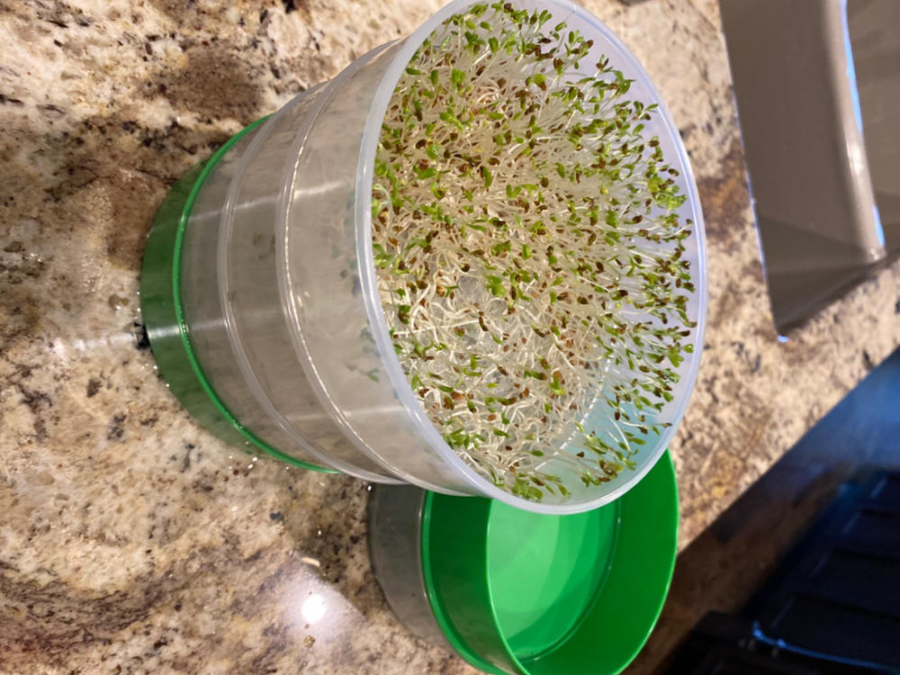 Deluxe Sprouting Starter Kit | 4 Tray Sprouter & 5 Packs of Seeds – My ...