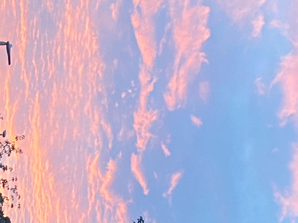 Purple Howlite Polished Tumblestone Healing Crystals