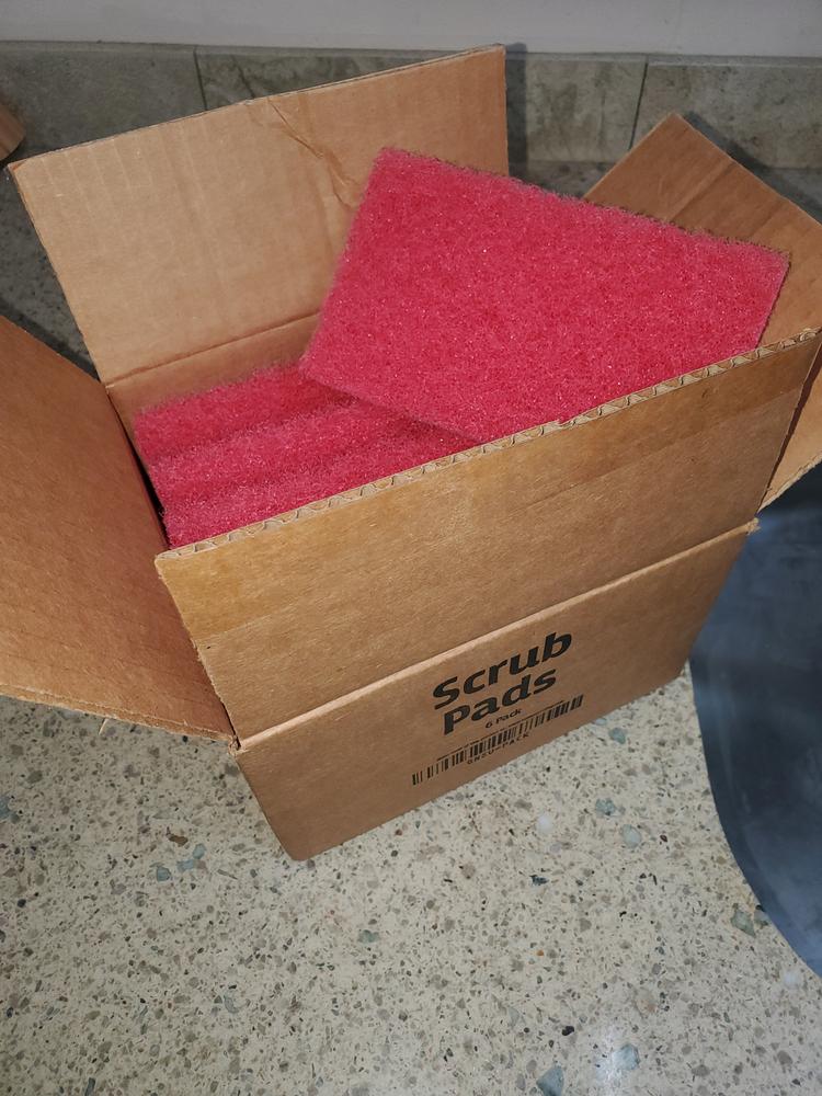 Replaceable Scrub Pad for Silk Screen Cleaning - 6pk | by ...