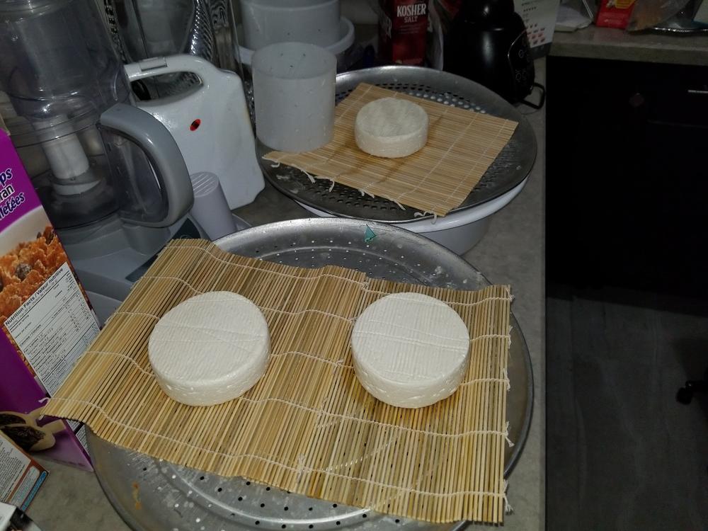 Camembert Cheese Mold | How to Make Cheese | Cheese Making