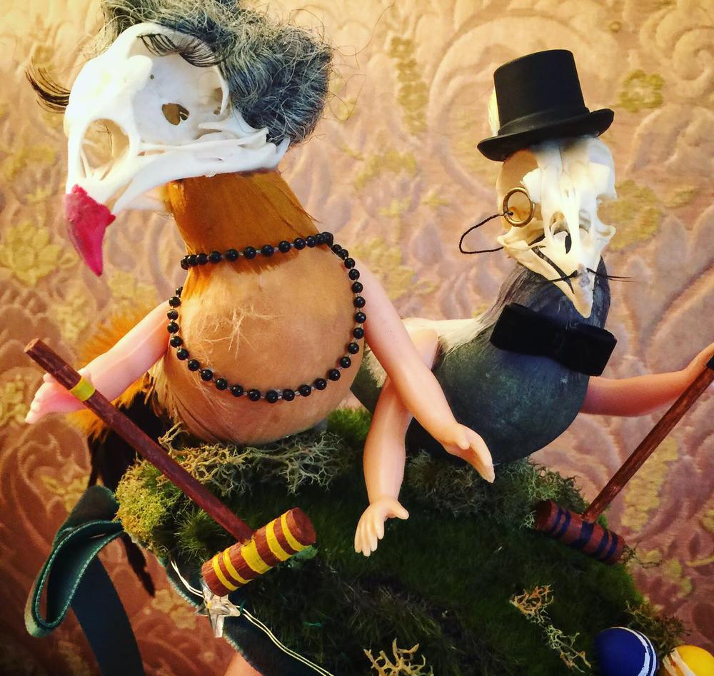 Real Pheasant Skull For Sale – Skulls Unlimited International, Inc.