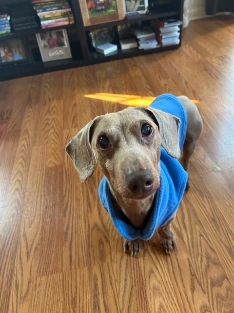 Basic Fleece Pullover – WeenieWarmers