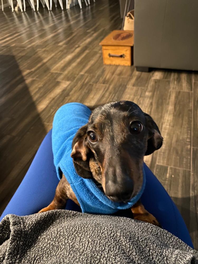 Basic Fleece Pullover – WeenieWarmers