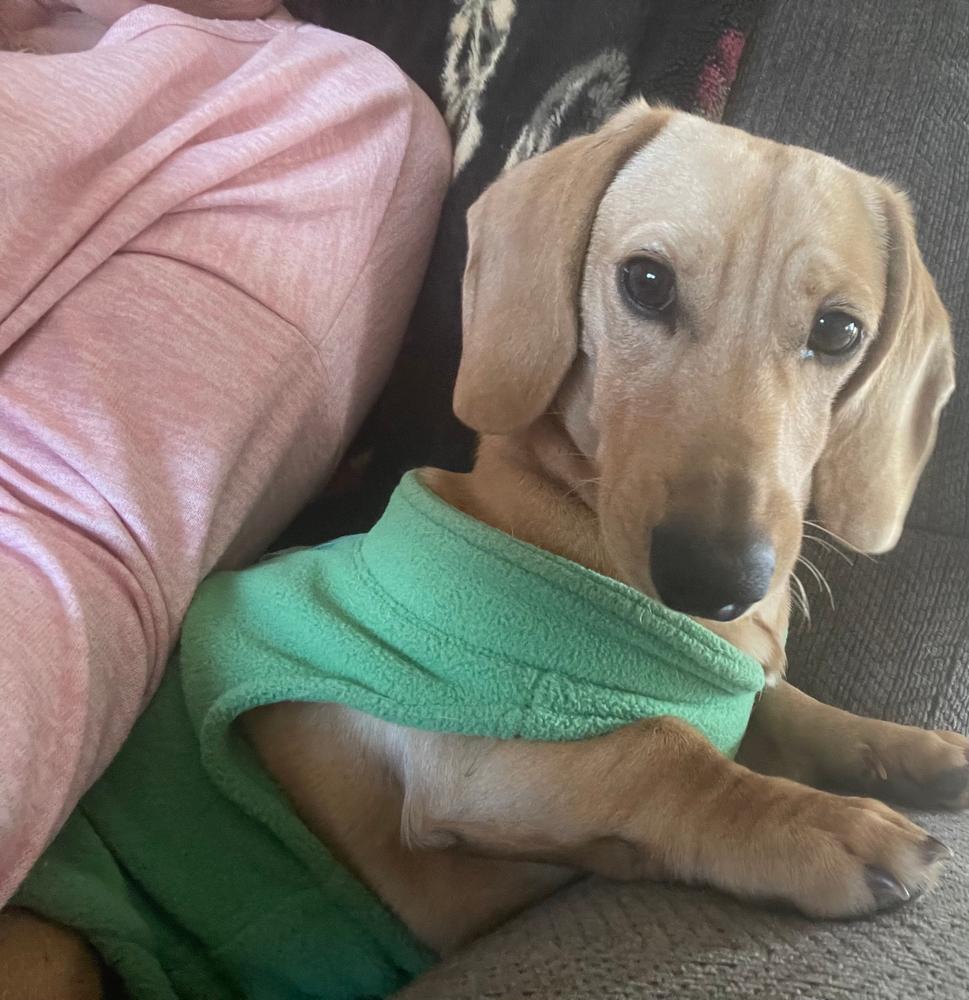 Basic Fleece Pullover – WeenieWarmers