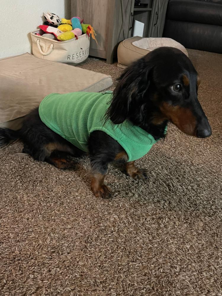 Basic Fleece Pullover – WeenieWarmers