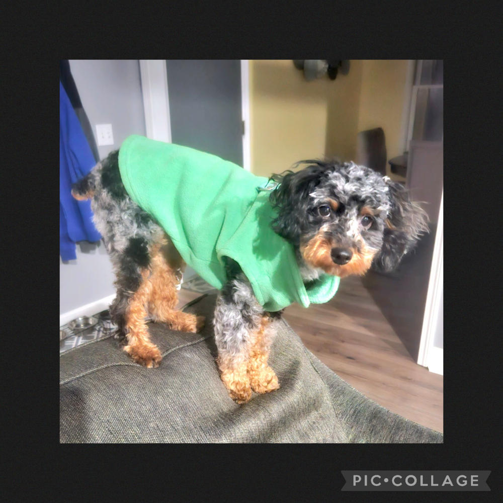 Basic Fleece Pullover – WeenieWarmers