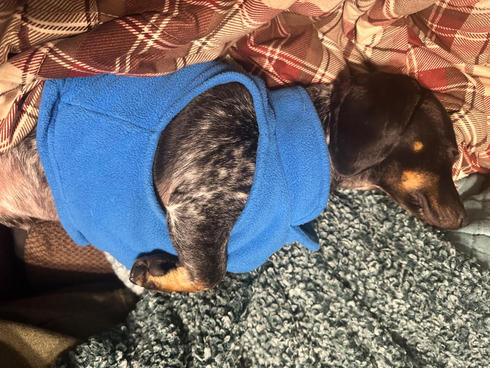 Basic Fleece Pullover – WeenieWarmers