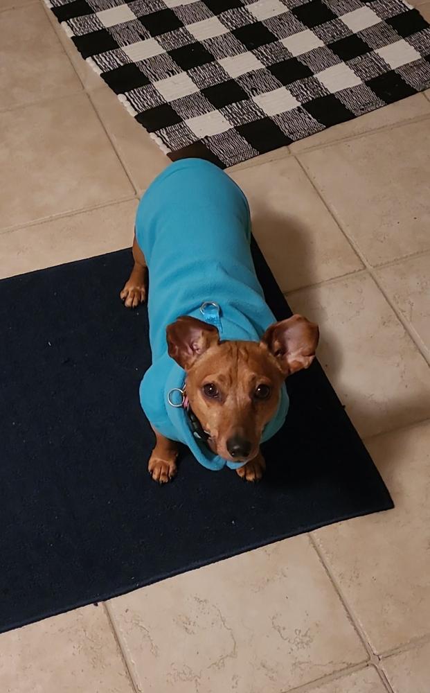 Basic Fleece Pullover – WeenieWarmers