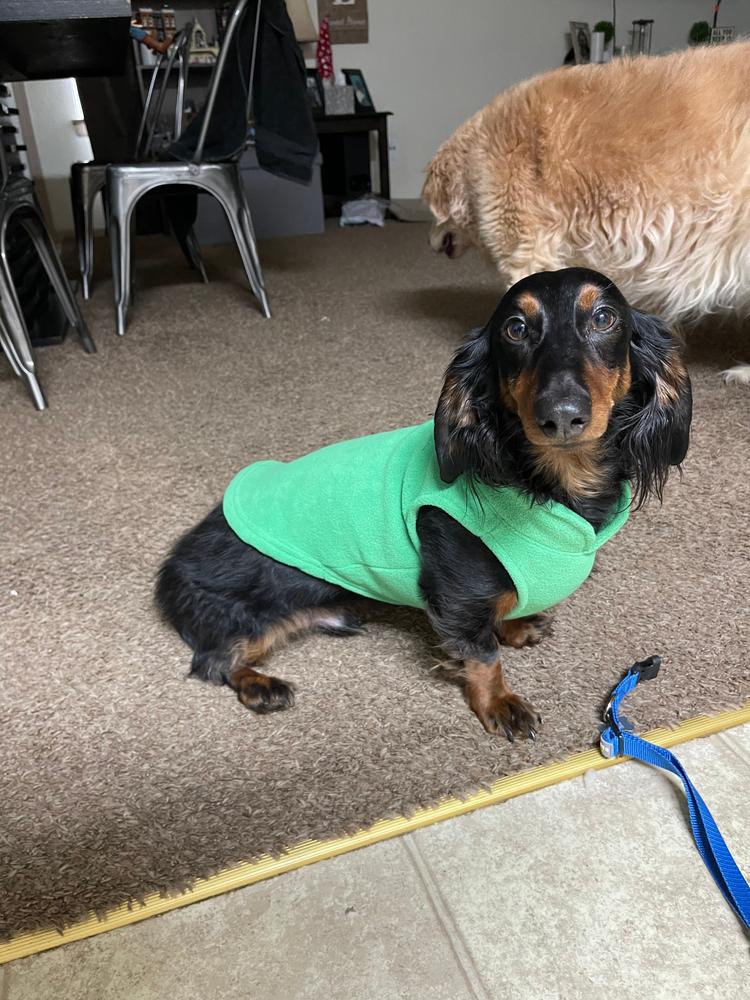 Basic Fleece Pullover – WeenieWarmers