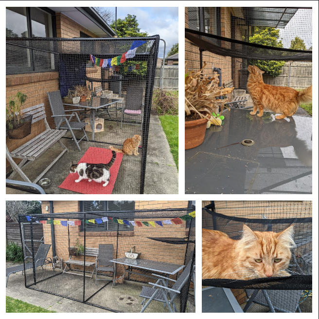 Double Size 3.6m Free-Standing Cat Enclosure – Catnets