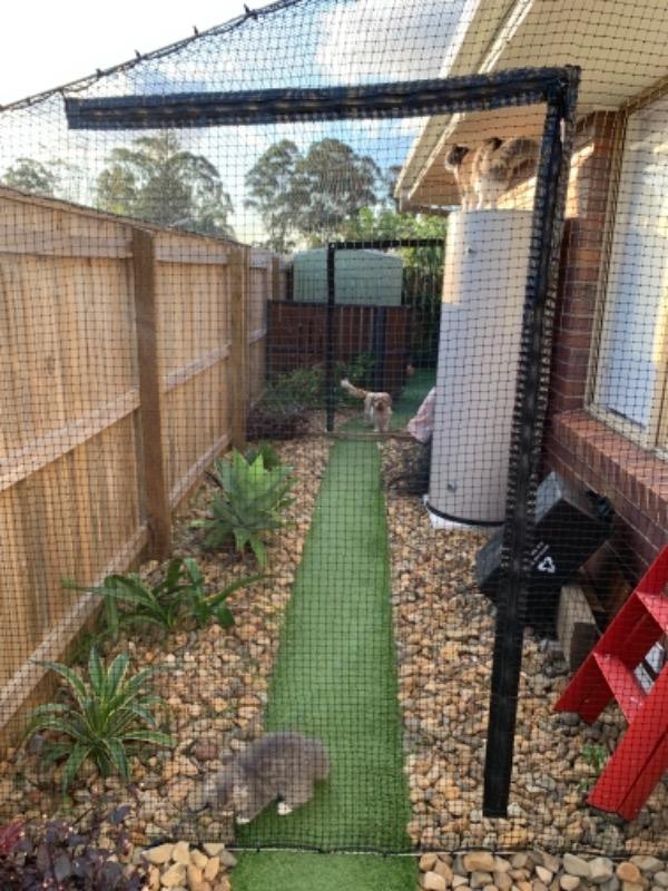 Complete Wall Net with F-Zipper (3.5m x 3.5m Netting) - Black – Catnets