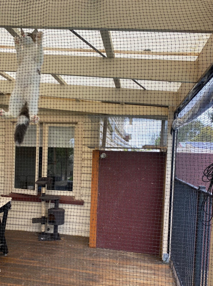 Stainless Steel Complete Wall Net with F-Zipper (3.5m x 3.5m Net) – Catnets