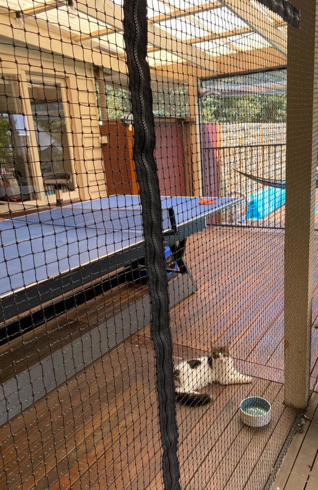 Stainless Steel Complete Wall Net with F-Zipper (3.5m x 3.5m Net) – Catnets