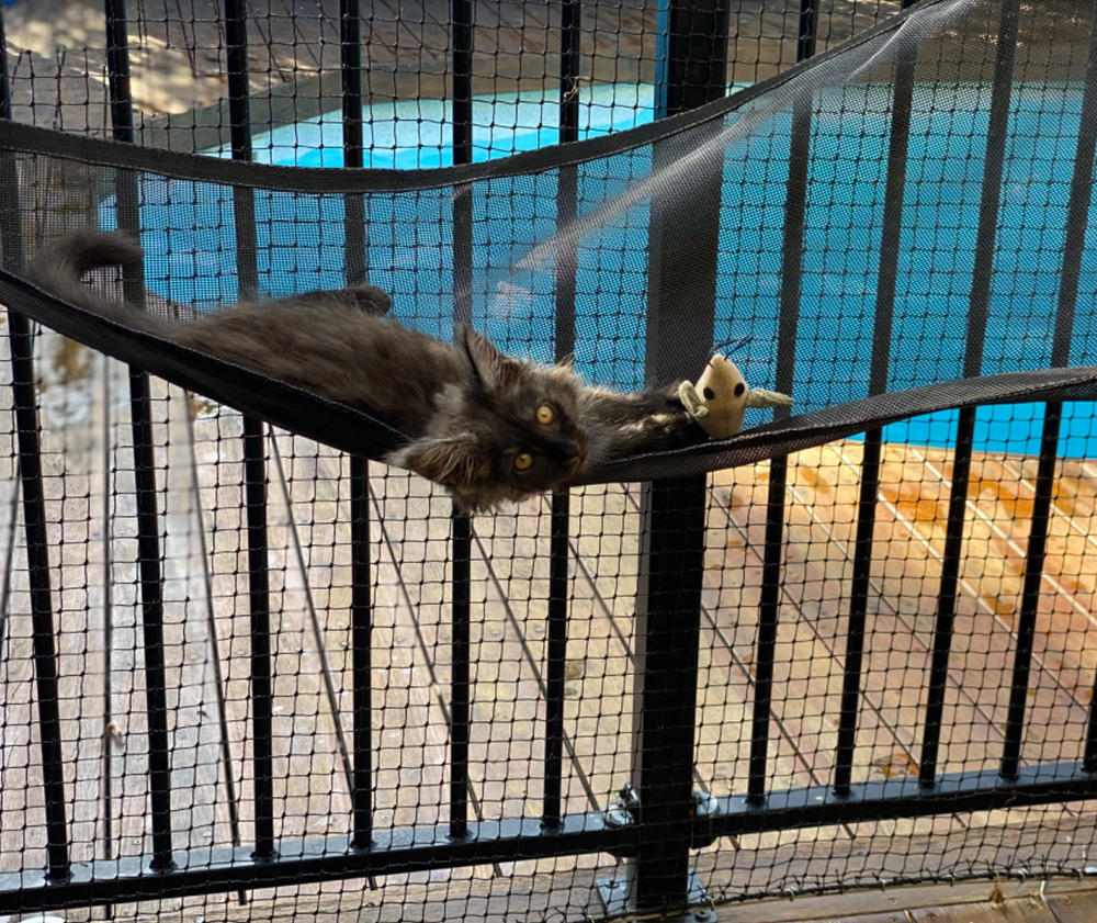 Stainless Steel Complete Wall Net with F-Zipper (3.5m x 3.5m Net) – Catnets