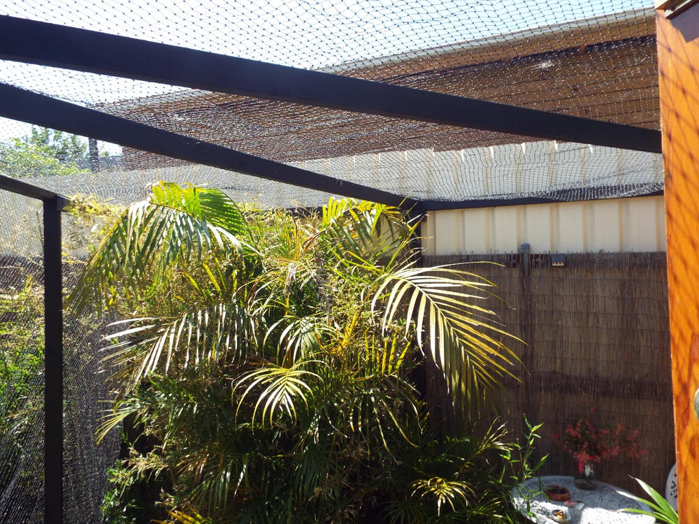 Stainless Reinforced Premium Cat Netting 10m x 5m – Catnets