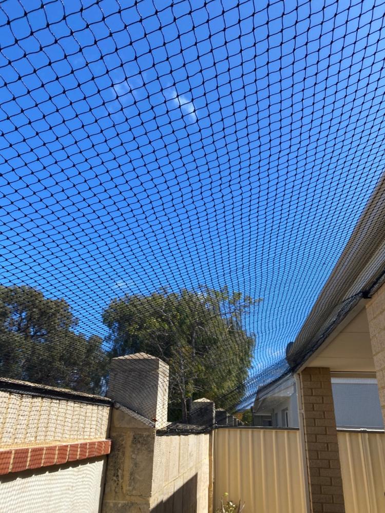 Cat Netting 10m x 1.8m Black – Catnets