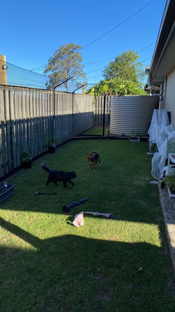 Cat Netting 10m x 1.8m Black – Catnets