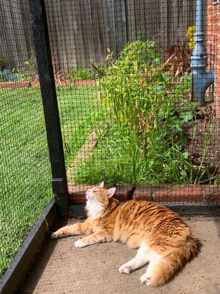 Cat Netting 10m x 1.8m Black – Catnets