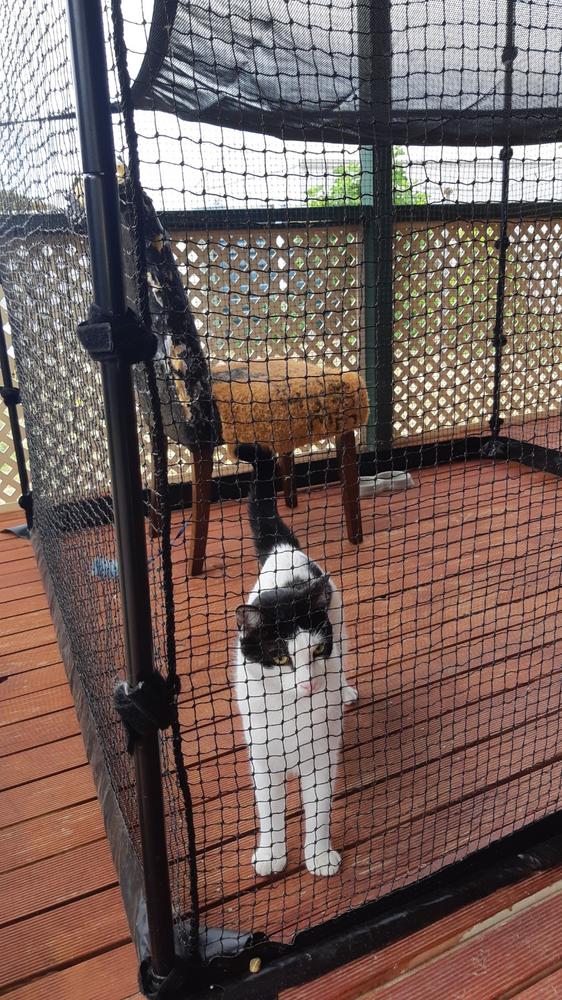 Premium Portable Cat Enclosure 1.8m – Catnets